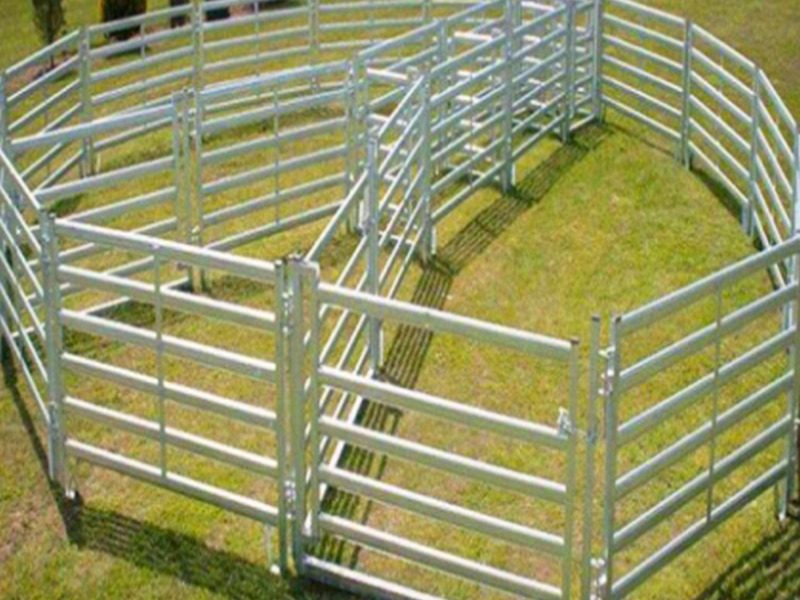 Corral Panel - Buy Low Carbon Square Tube Corral Panel, Low Carbon ...