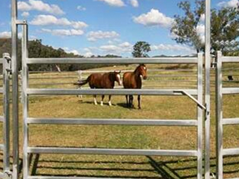 Corral Panel - Buy Low Carbon Square Tube Corral Panel, Low Carbon ...