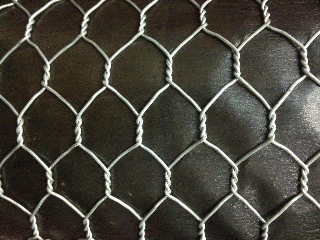 1/2'' Mesh Transparent Hexagonal Wire Mesh For Rabbit - Buy 1/2'' Mesh ...